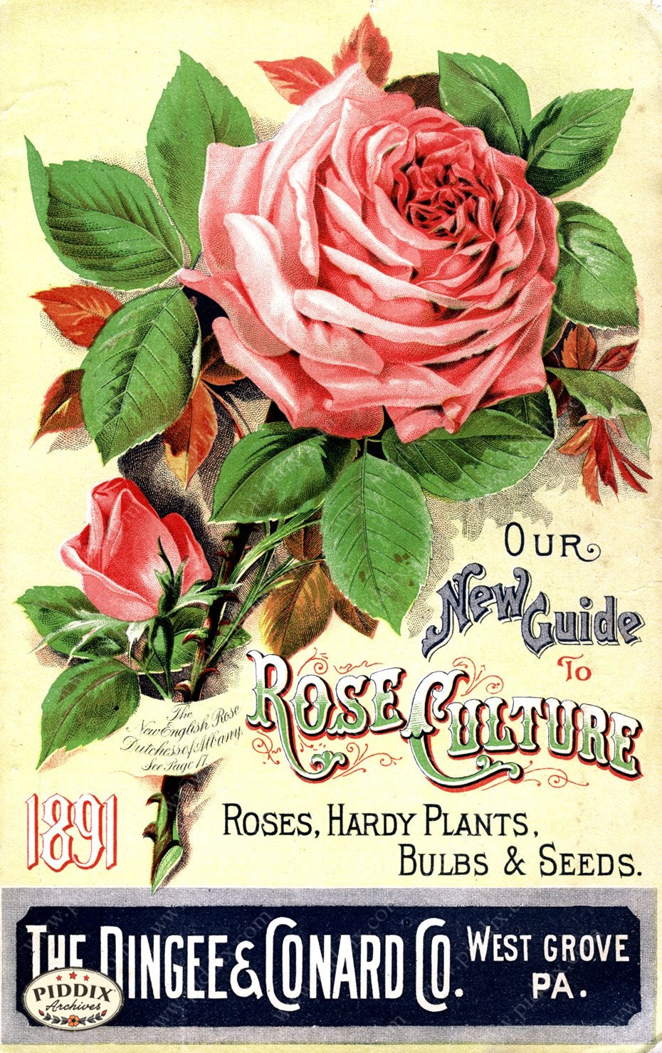 PDXC1522 -- Vintage Rose Culture Catalogs - piddix