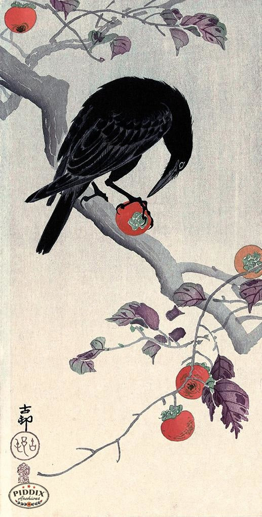 PDXC19669 -- Japanese Raven and Persimmons - piddix